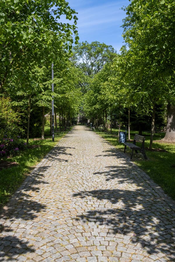 Path in a Park in the Spring, Zabreh, Czech Republic Stock Image ...