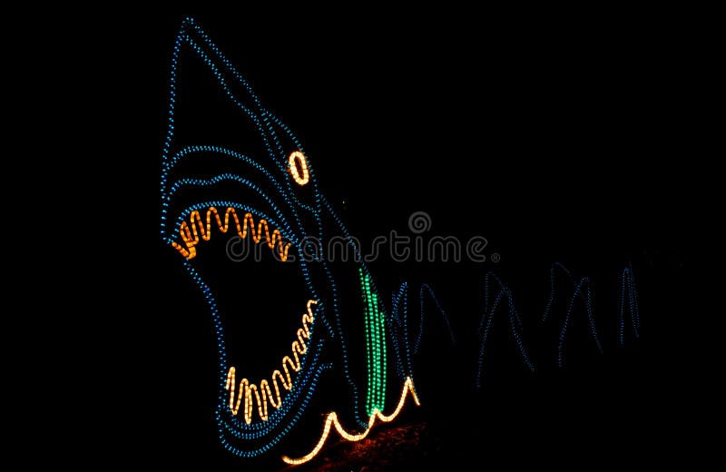 Illuminated Shark Figure Decoration in the Darkness Made with String ...