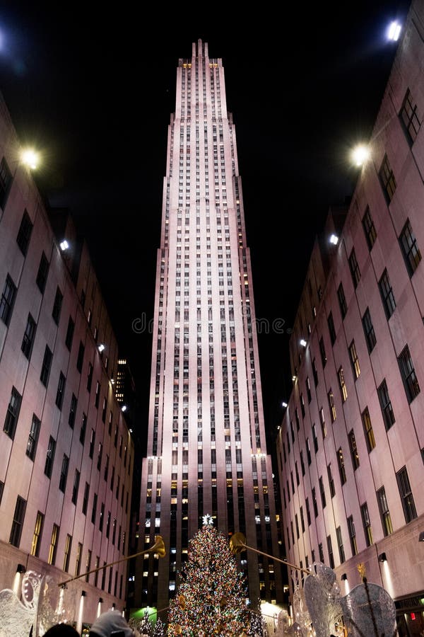 Illuminated Skyscraper and Christmas Tree in Festive Urban Setting with ...