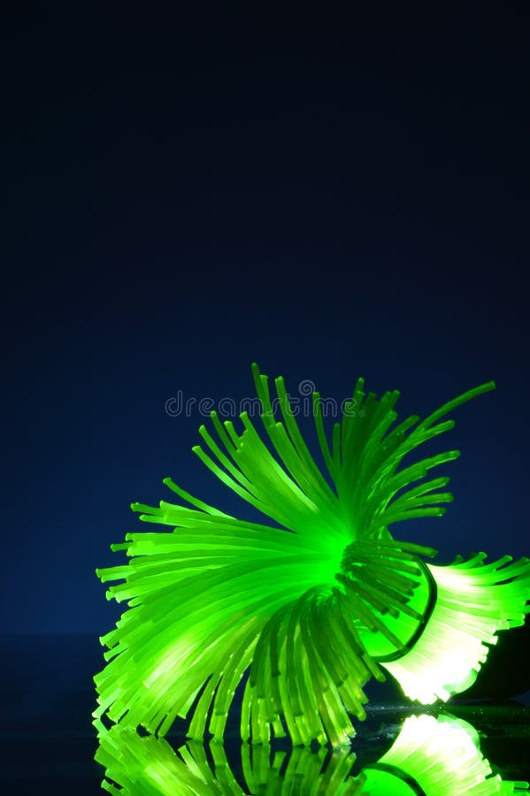 Illuminated Strands of Neon String Stock Photo - Image of string ...