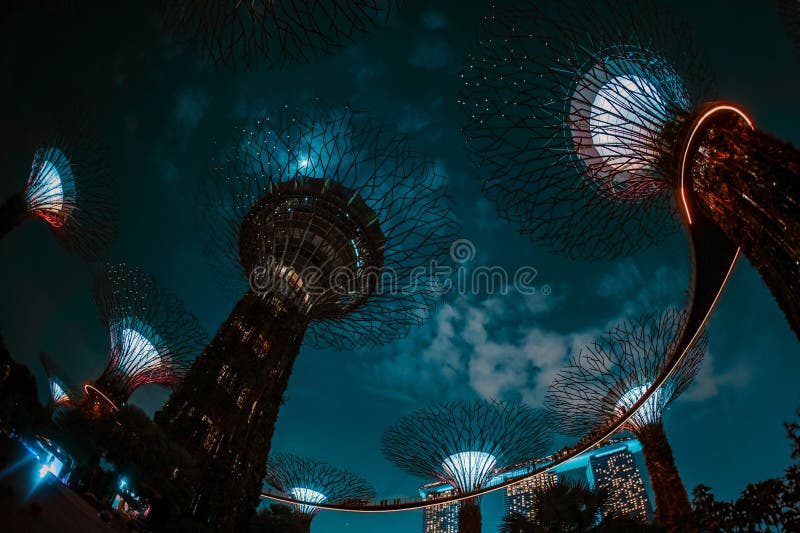 Illuminated super tree stock photo. Image of manmade - 357074188