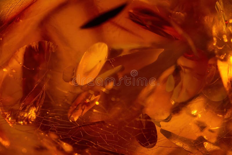 Close Up View of Natural Translucent Amber. Stock Photo - Image of ...