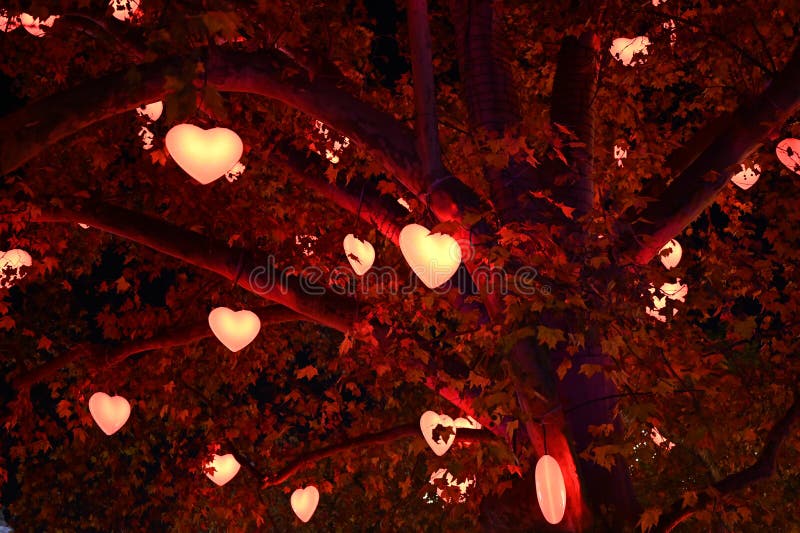 Illuminated Tree with Heart Shaped Lights on Christmas Markets in ...