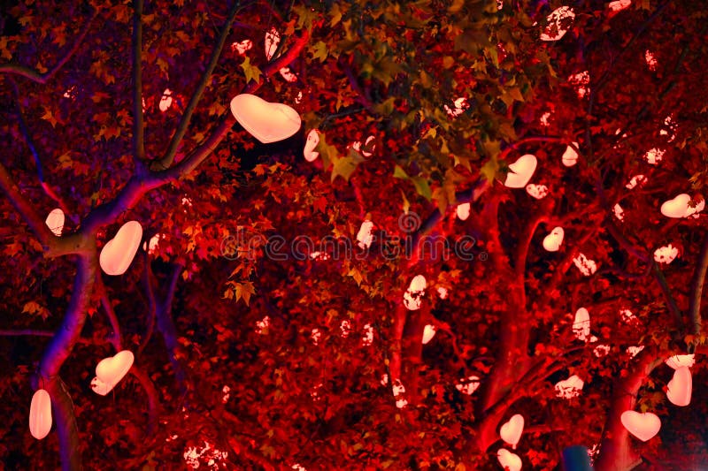 Illuminated Tree with Heart Shaped Lights at Night in Vienna Stock ...