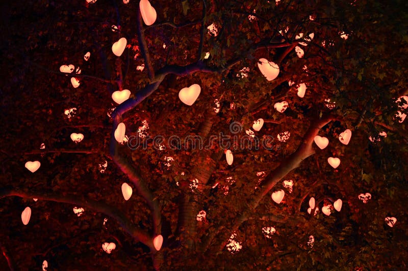 Illuminated Tree with Heart Shaped Lights on Vienna Stock Image - Image ...