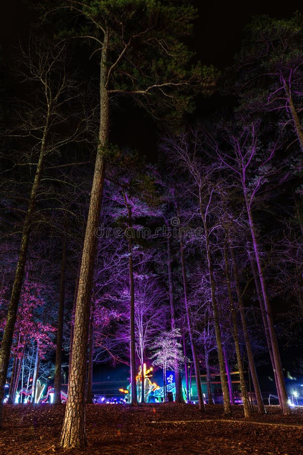 Illuminated Trees with Lights in Chengdu, China at Wuhou Temple Lantern ...