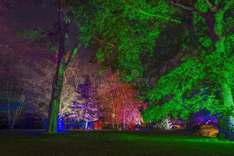 Illuminated Trees with Lights in Chengdu, China at Wuhou Temple Lantern ...