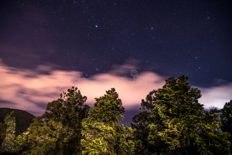 Illuminated Trees Under a Magical Night Sky Stock Image - Image of ...