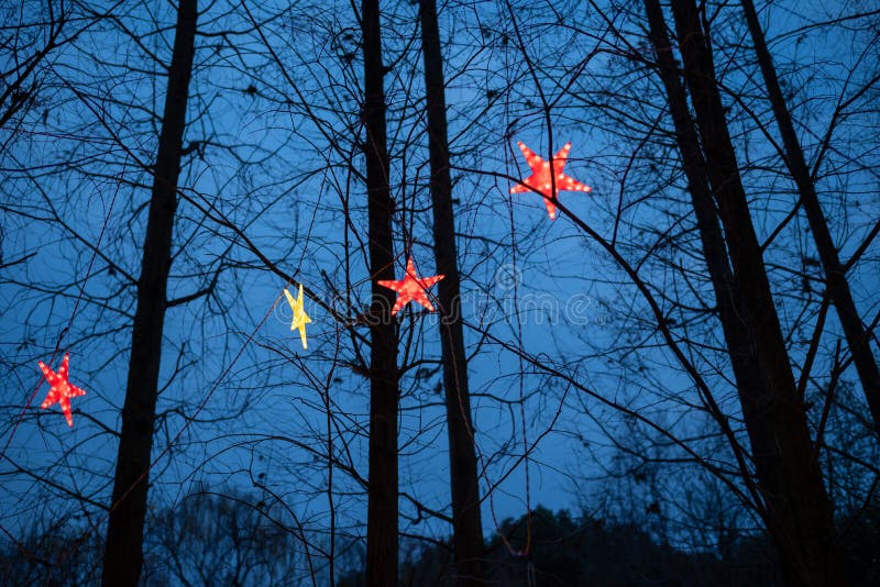 Illuminated Yellow and Red Stars Hanging on Trees Stock Image - Image ...