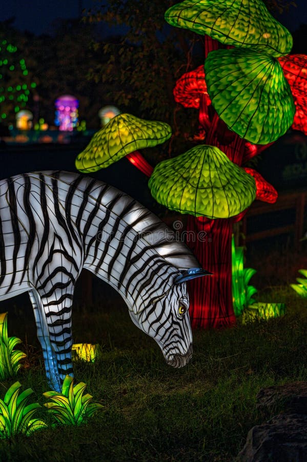 Illuminated Zebra in park editorial stock image. Image of detail ...