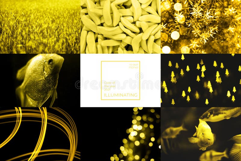 Banner Printout Coloring Pages Stock Photos - Free & Royalty-Free Stock ...