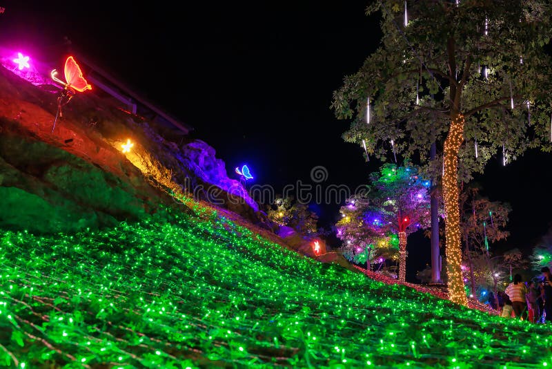 Illumination Flashing Lights Decorate the Tree and Neon Butterfly ...