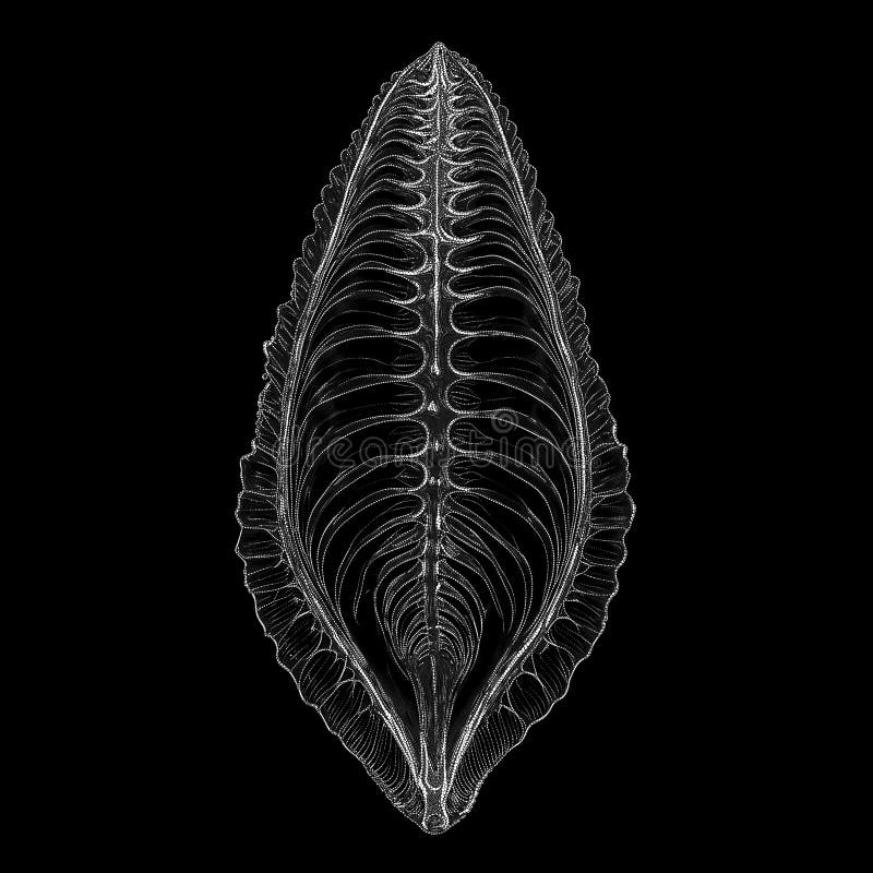 Illusions of life form stock illustration. Illustration of dots - 326363460