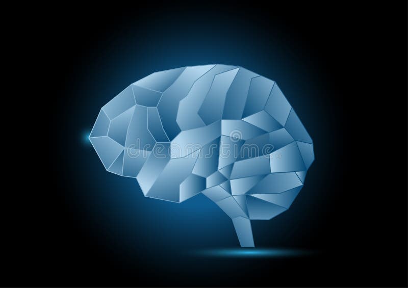 Brain polygon stock illustration. Illustration of efficient - 45861416