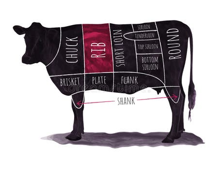 Illustrated Beef Cuts Chart with Labeled Sections on a Cow Silhouette ...