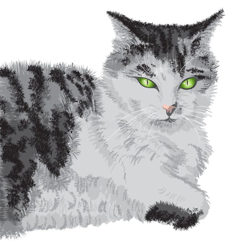 5+ Illustrated portrait cat Free Stock Photos - StockFreeImages