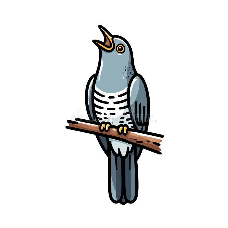 Illustrated Cuckoo Bird Singing on Branch Stock Illustration ...