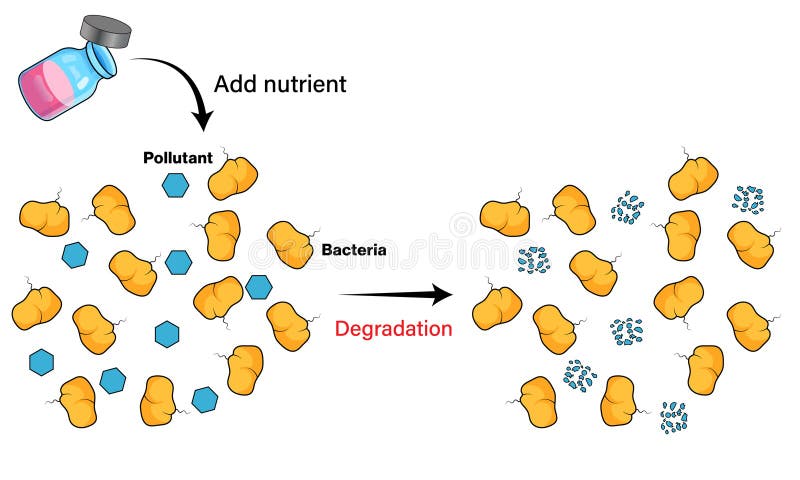 Bioremediation Processes Stock Illustrations – 8 Bioremediation ...