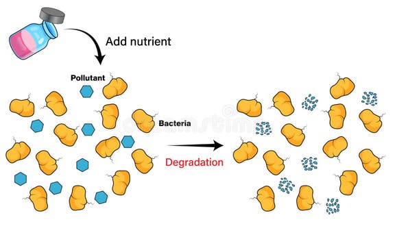 An Illustrated Exploration of Biostimulation Techniques for Microbial ...