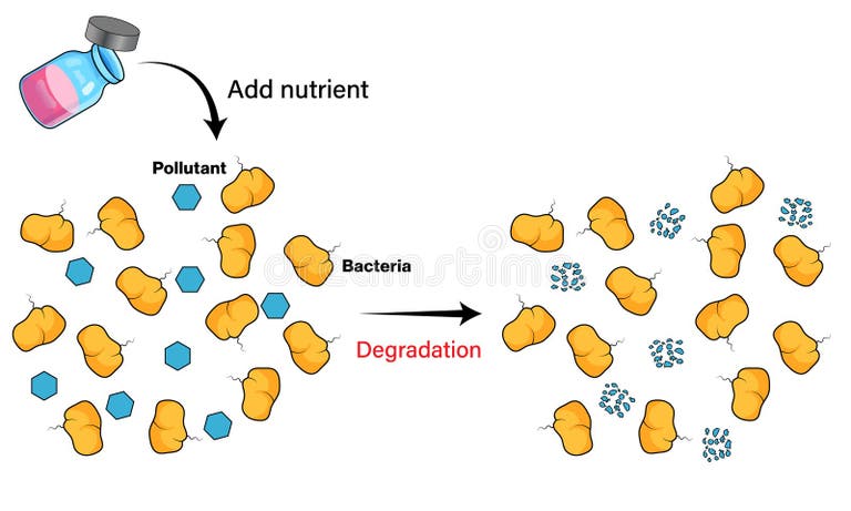 An Illustrated Exploration of Biostimulation Techniques for Microbial ...