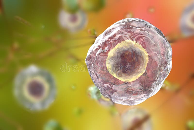 Illustratiion Delle Cellule Umane Illustrazione di Stock ...