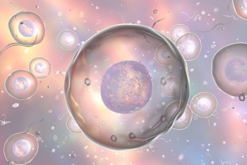 Illustratiion Des Cellules Humaines Illustration Stock - Illustration ...