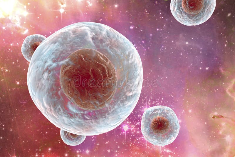 Illustratiion Des Cellules Humaines Illustration Stock - Illustration ...