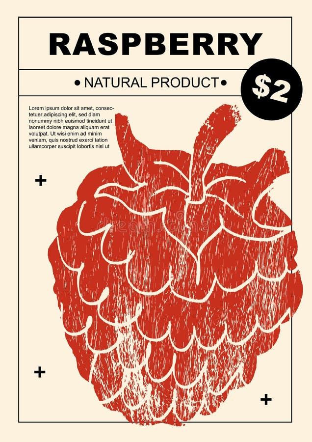 Raspberry. Set of Posters of Fruits and Berries in a Abstract Draw ...