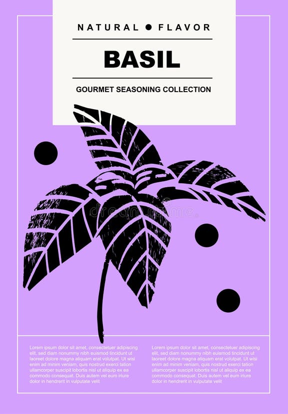 Basil. Set of Posters of Spices, Herbs, Organic Product in a Abstract ...