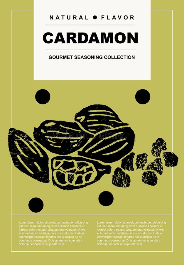 Cardamon. Set of Posters of Spices, Herbs, Organic Product in a ...