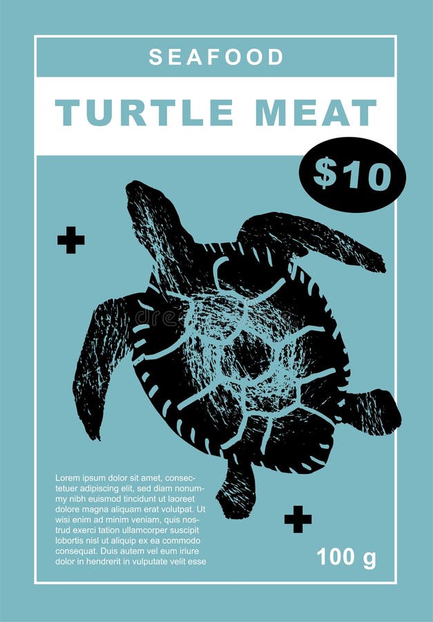 Turtle Meat. Set of Posters of Fishes and Seafood in a Abstract Draw ...