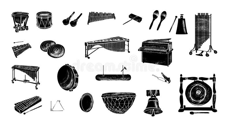 Collection of Percussion and Noise Musical Instruments. Stock Vector ...