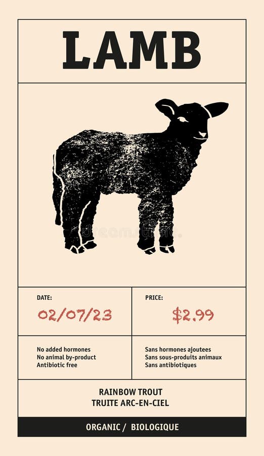 Modern Typography Banner, Hand Drawn Lamb Stock Vector - Illustration ...