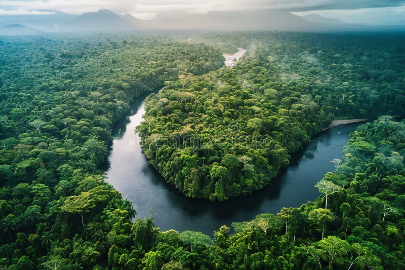 Aerial View of the Amazon Rainforest, with Its Dense Canopy and Diverse ...