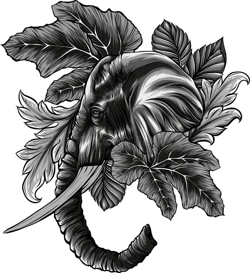 Monochromatic Illustration of African Elephant Head with Leaves Stock ...