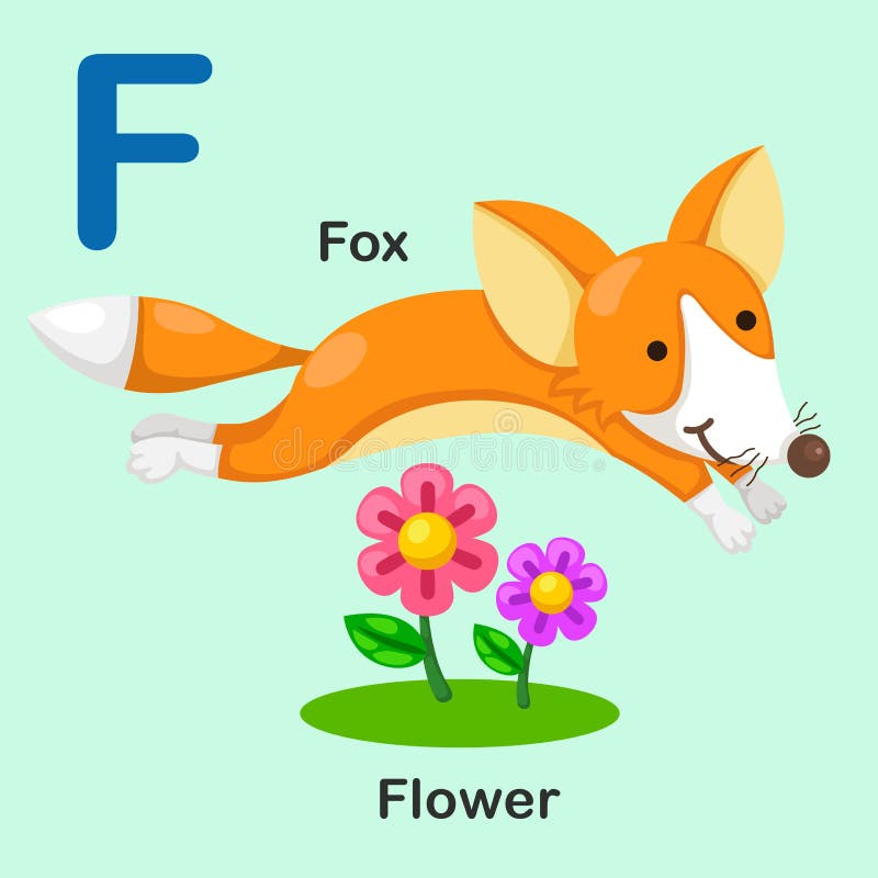 Illustration Animal Alphabet Letter F-Fox-Flower Stock Vector ...
