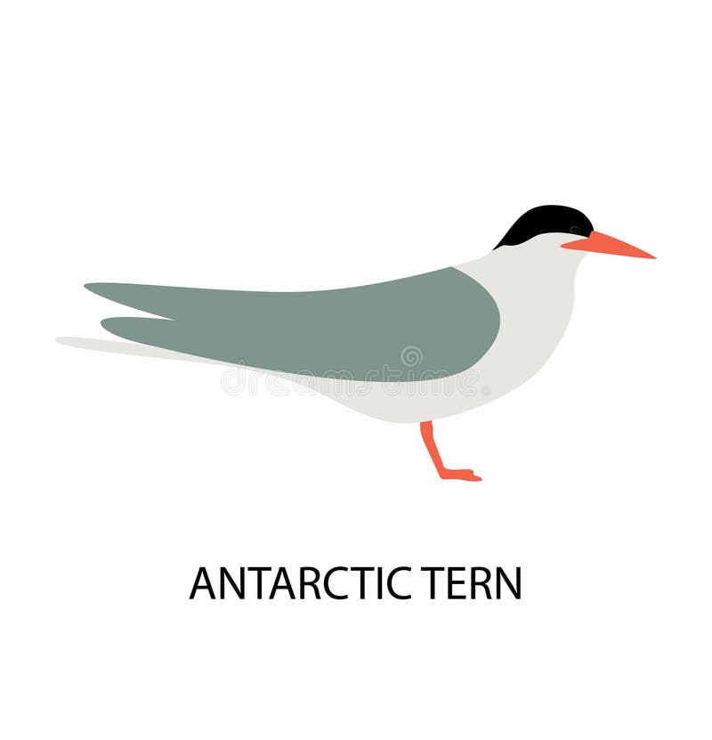 Illustration with Antarctic Tern. Cute Cartoon Character Stock Vector ...
