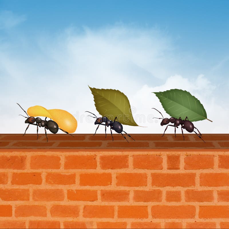 Three Ants Working and Carrying Leafs To the Anthill Stock Illustration ...