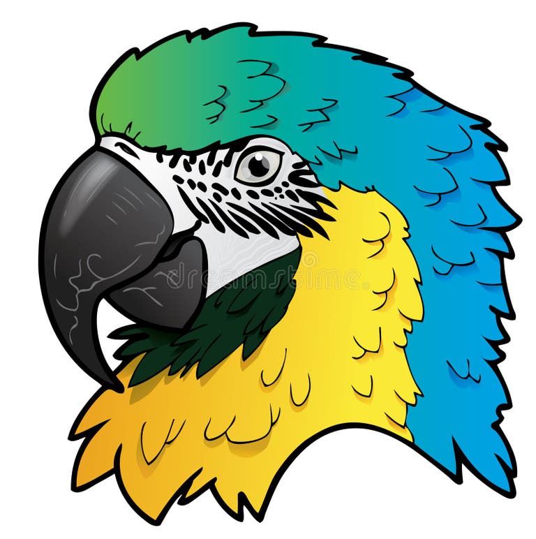 Ara Stock Illustrations – 11,256 Ara Stock Illustrations, Vectors ...