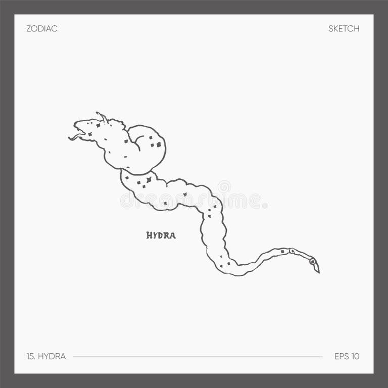 Illustration of Astrological Zodiac Hydra Stock Vector - Illustration ...