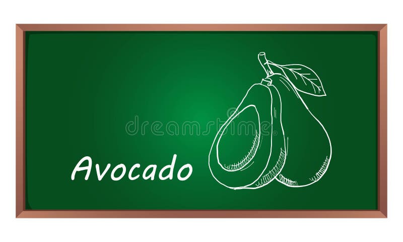Illustration of Avocado on Chalk Board. Educational and Learning ...