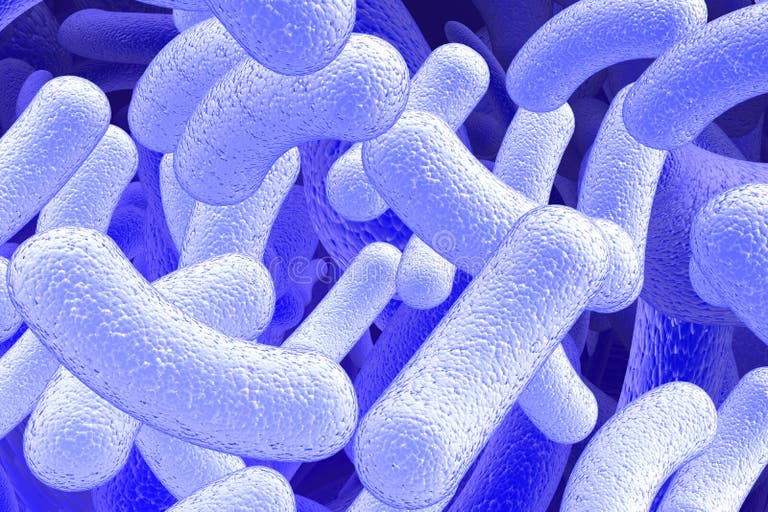 Bacillus Stock Illustrations – 37,023 Bacillus Stock Illustrations ...