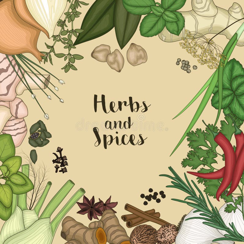 Background Design with Herbs and Spices Stock Vector - Illustration of ...