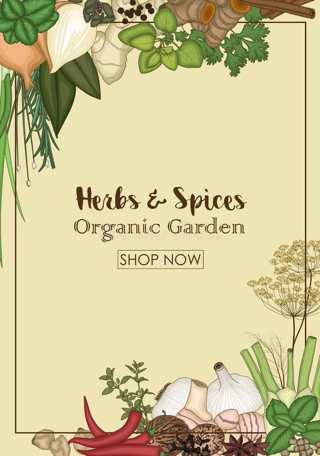 Background Design with Herbs and Spices Stock Vector - Illustration of ...