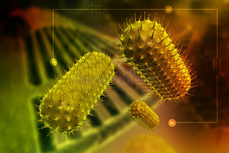 Illustration of Bacteria Cells Stock Illustration - Illustration of ...