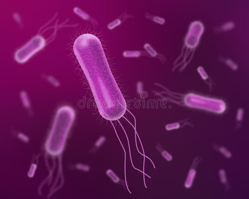 Illustration of Bacteria Cells Stock Illustration - Illustration of ...