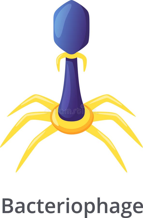 Illustration of a Bacteriophage, a Virus that Infects and Replicates ...