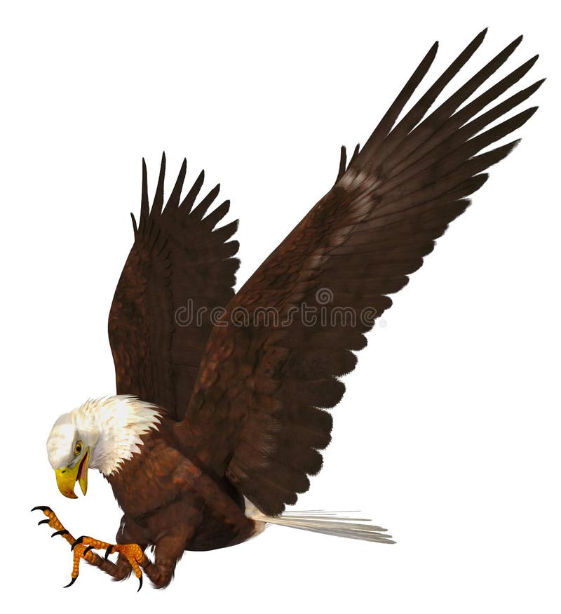 Bald Eagle Attacking Stock Illustrations – 89 Bald Eagle Attacking ...