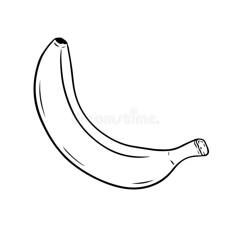 Illustration of a Banana in a Hand-drawn Style. Stock Vector ...