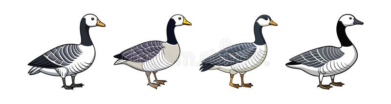 Barnacle Goose Coloring Illustration with Outline Stock Vector ...